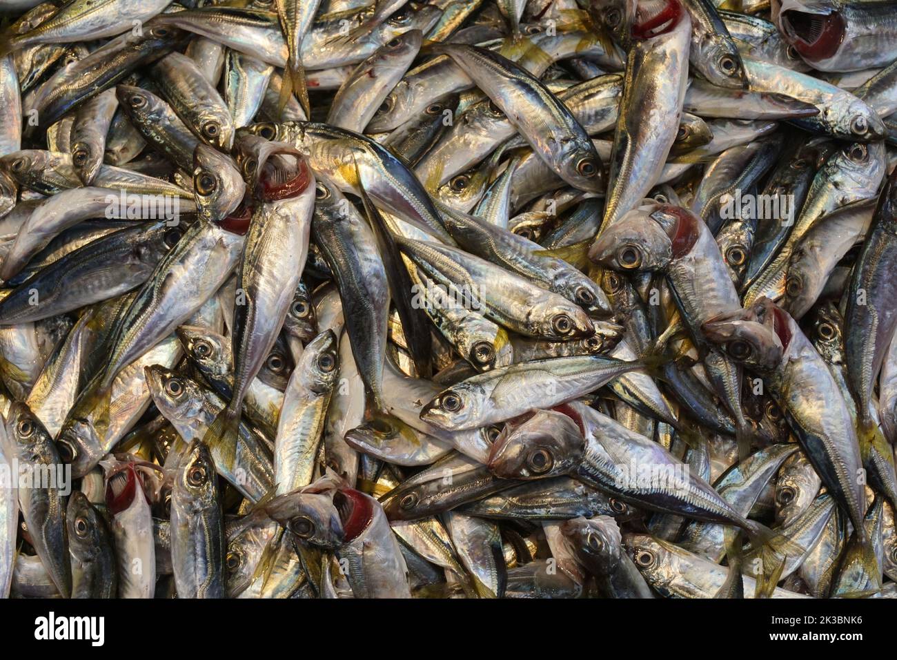 Fishermens stall hi-res stock photography and images - Alamy