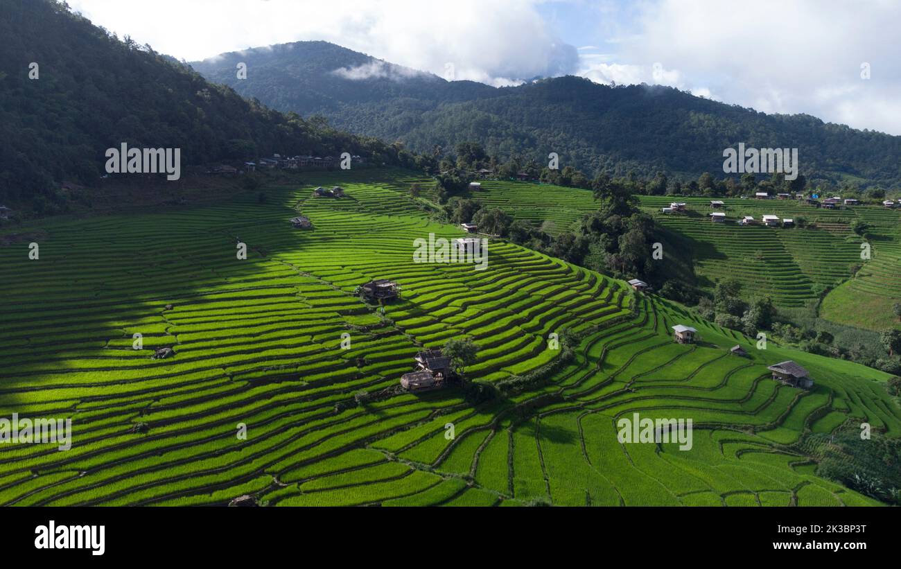 Aerial views beautiful of Small house and rice terraces field at ...