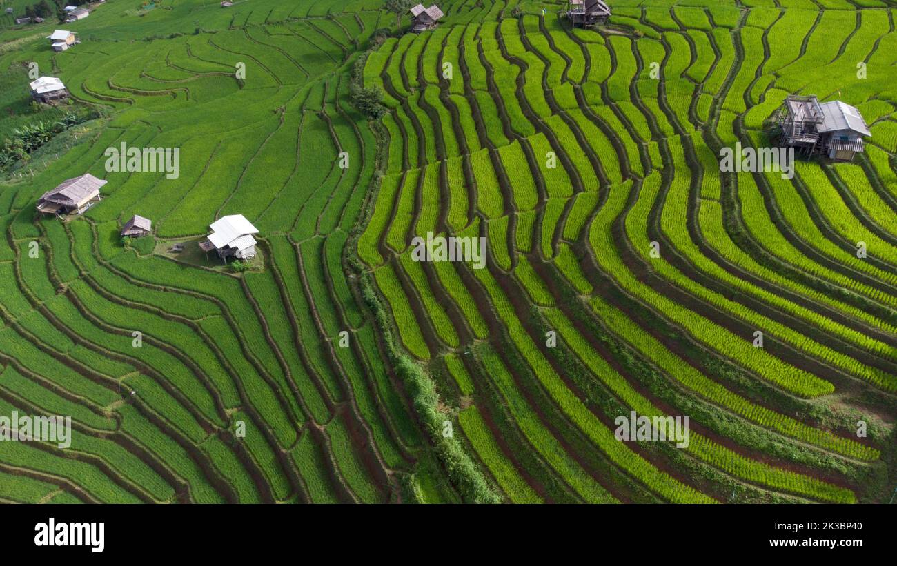 Aerial views beautiful of Small house and rice terraces field at ...