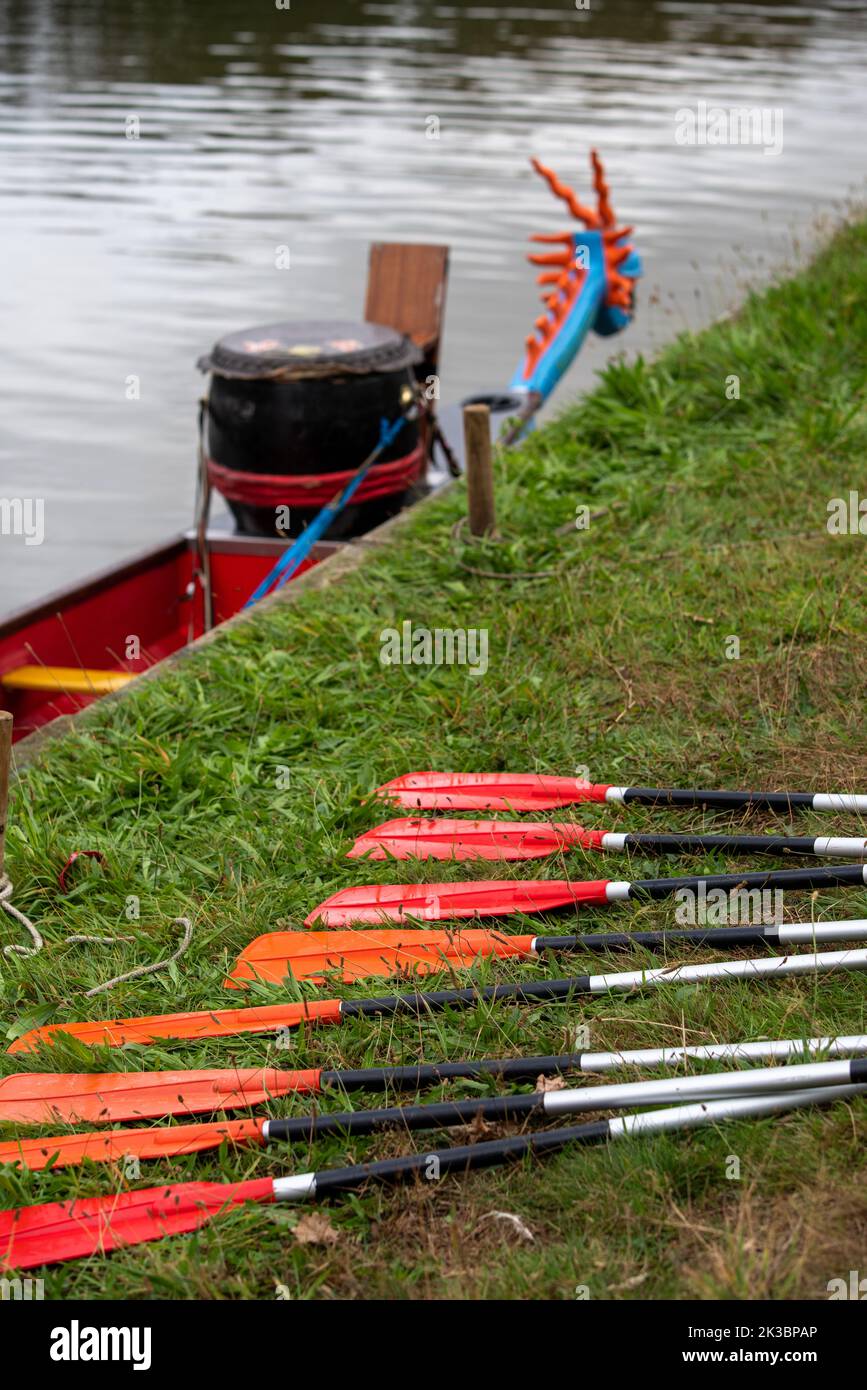 paddles belonging to a dragon boat A dragon boat is a human powered ...