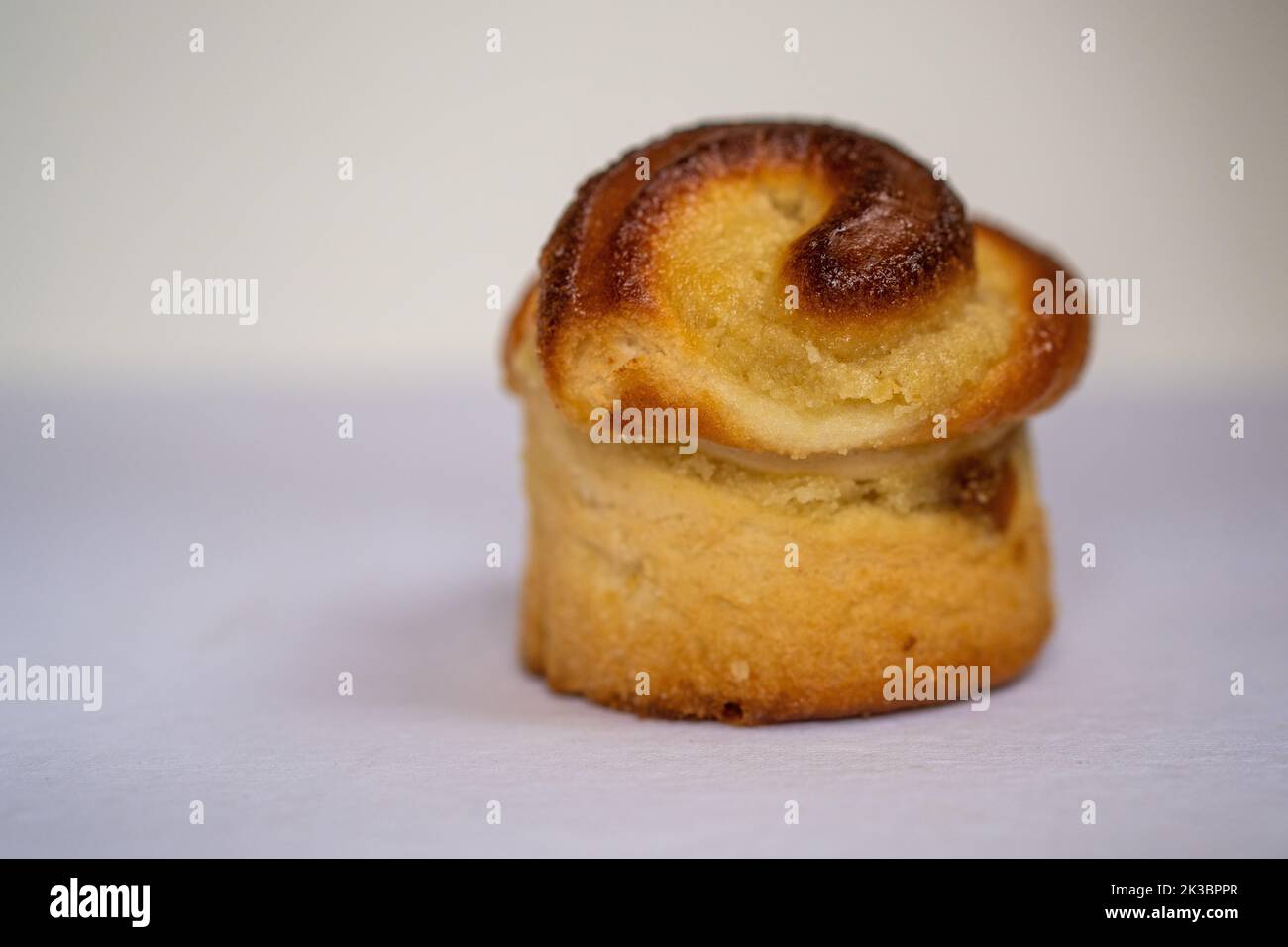 The traditional Babka pastry on light background, close-up Stock Photo ...