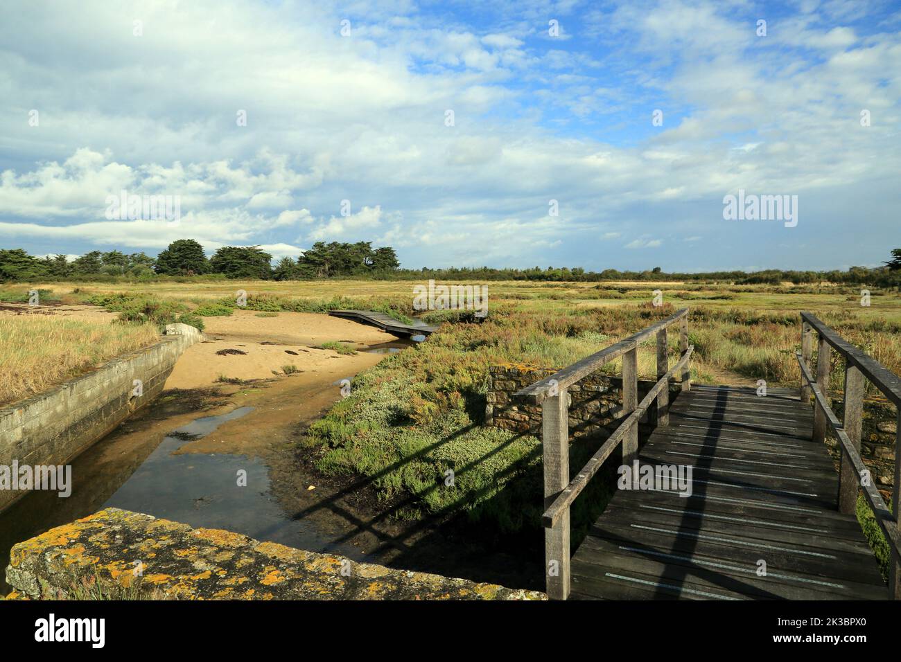 footbridge on salt marsh, Salines de Bilherve on Ile d'Arz, Golfe du ...