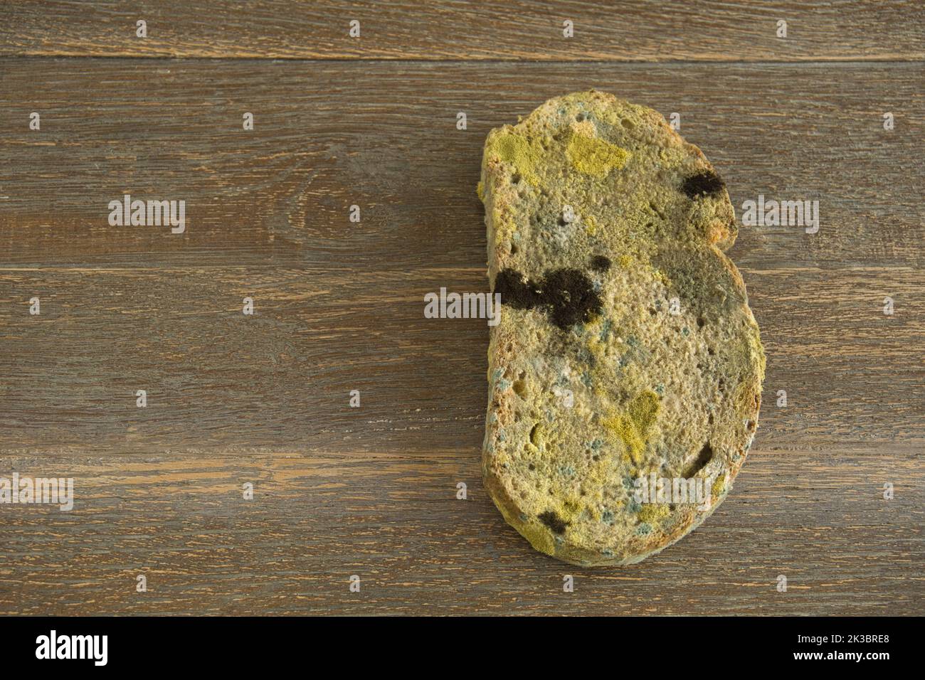 a slice of moldy bread in an upright position on a wooden floor Stock ...