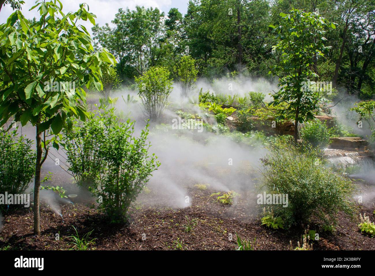 The irrigation taps in ground watering the greenery in a garden Stock ...