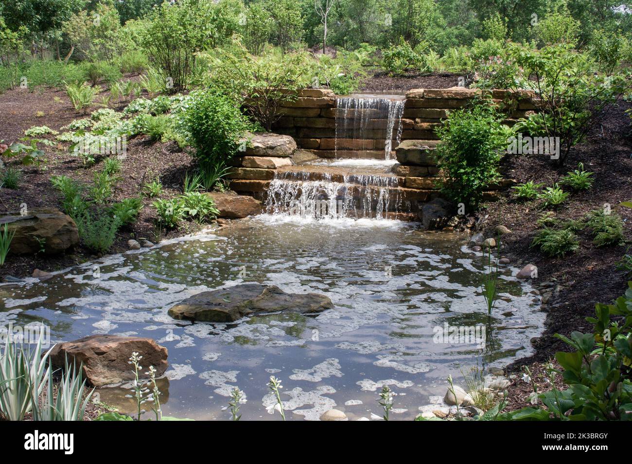 A small cascade waterfall and river surrounded by greenery Stock Photo ...