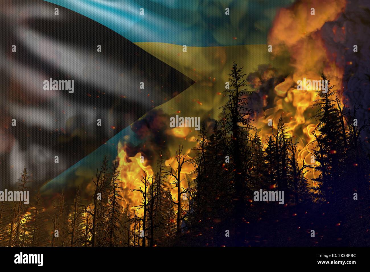 Forest fire natural disaster concept - heavy fire in the woods on ...