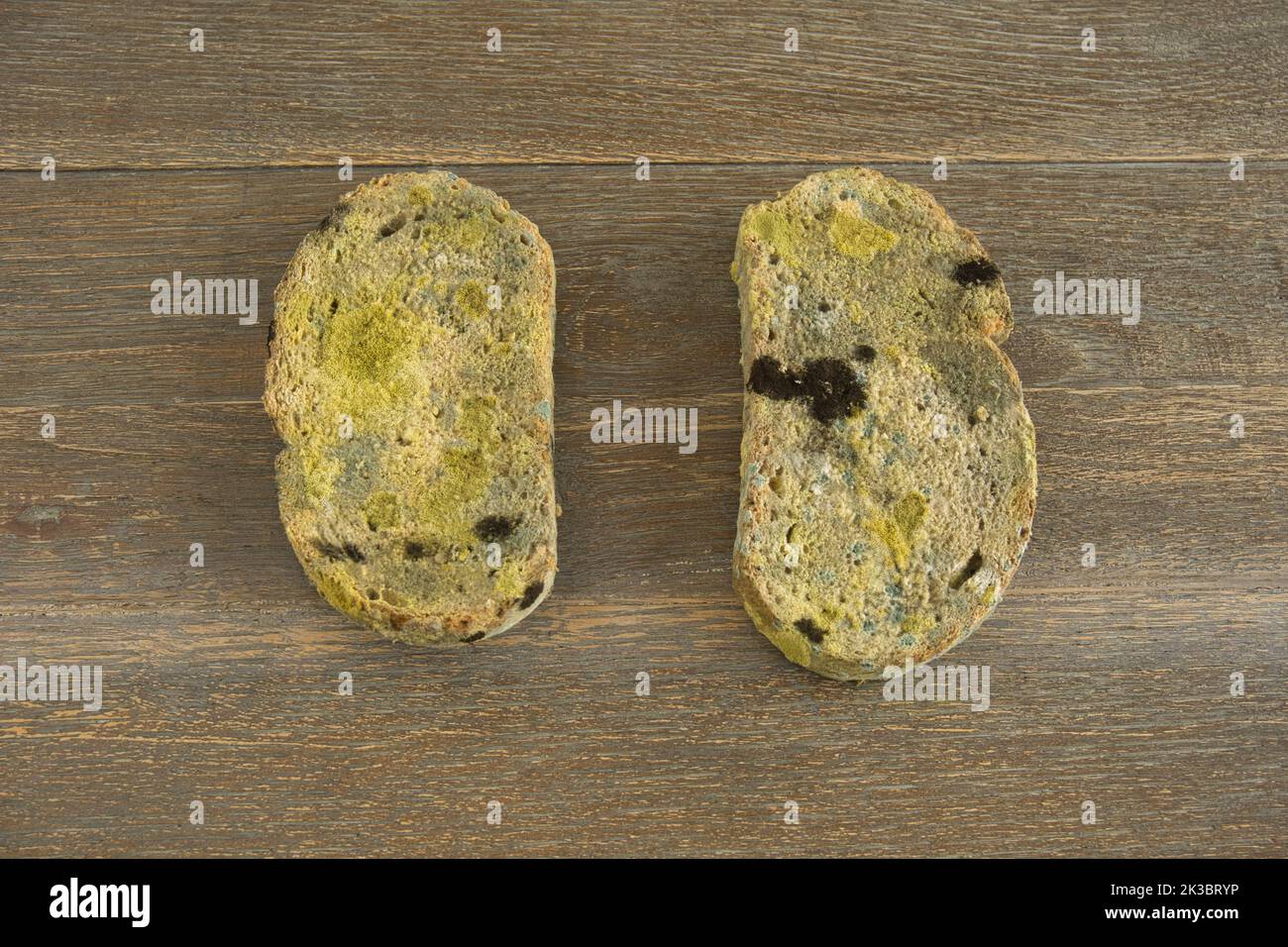 two slices of moldy bread Stock Photo - Alamy