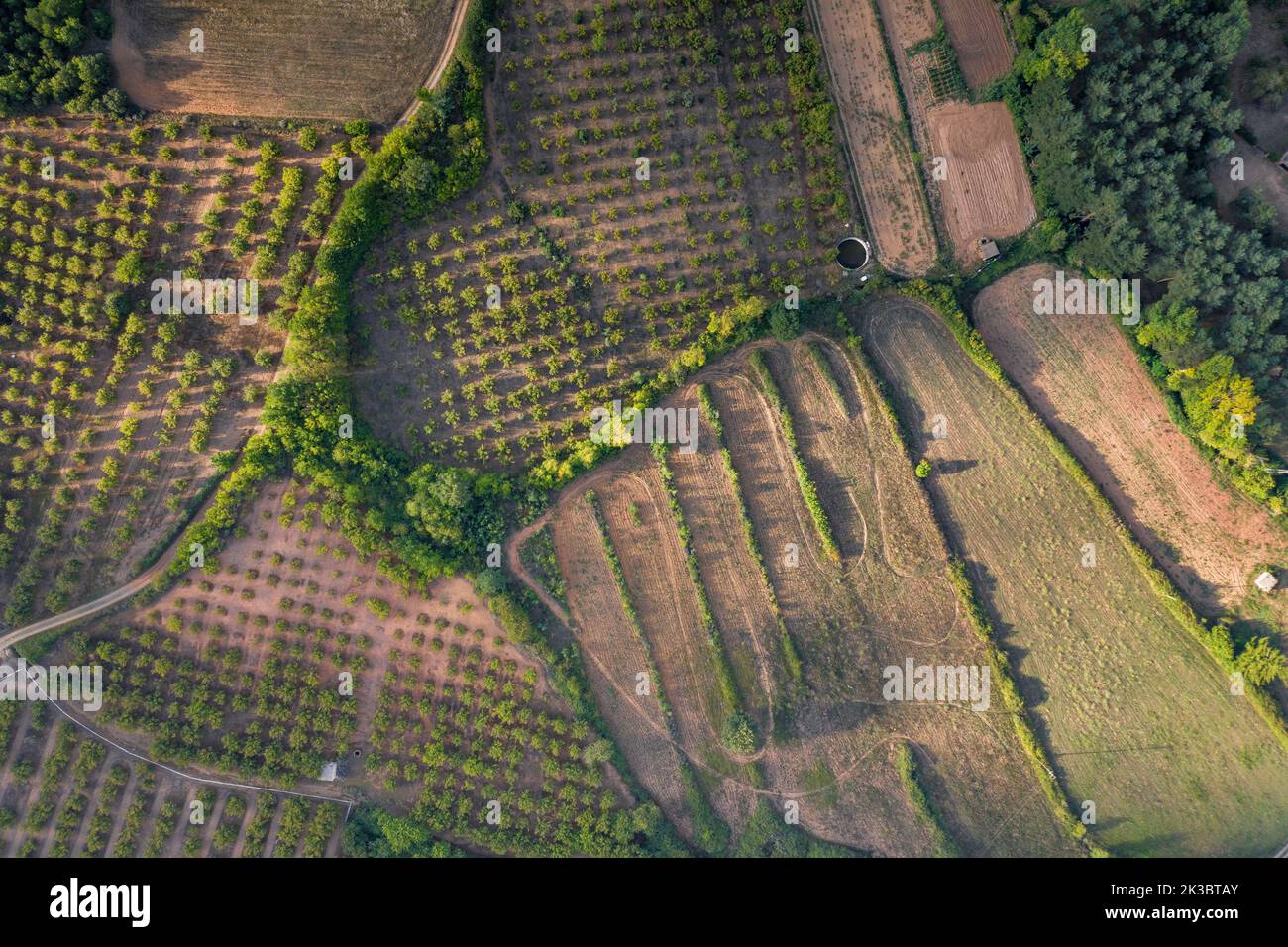Aerial view of the town of Prades and its rural surroundings and the ...