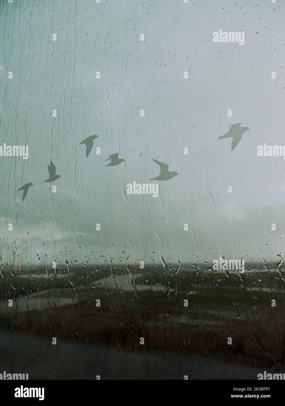 Glass window with rain and flying bird engravings at Rye Harbour ...