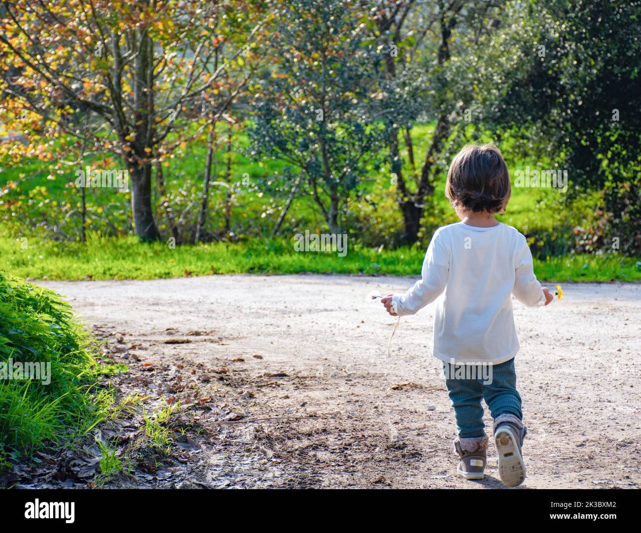 A girl from the back in a white T-shirt runs through the field with ...