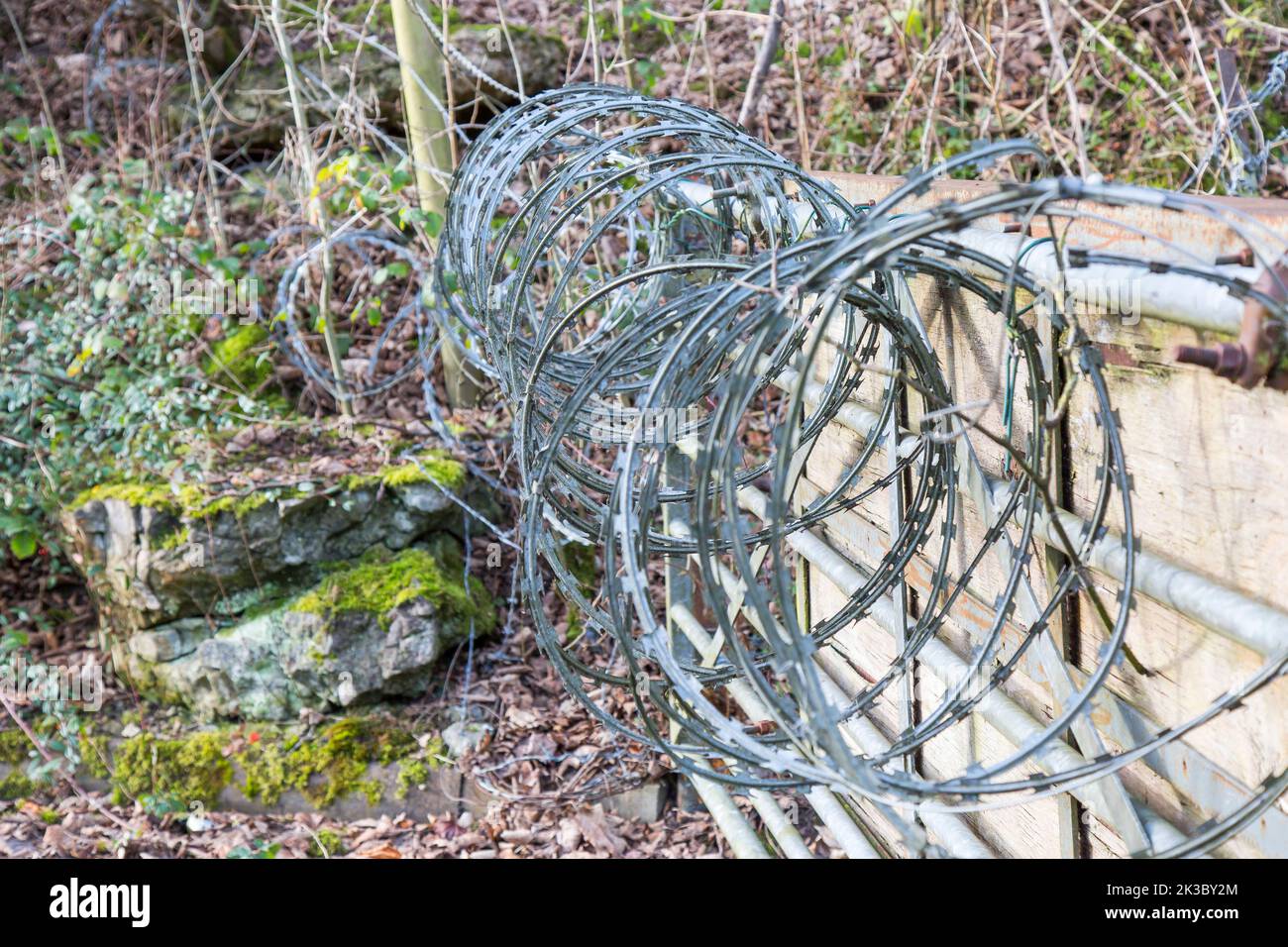 Sharp razor hi-res stock photography and images - Alamy
