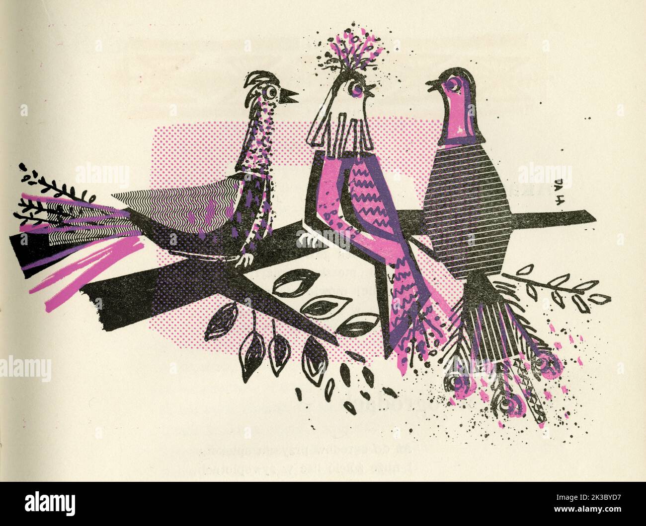 ILLUSTRATION DE DANUTA LASKOWSKA. TROIS OISEAUX Stock Photo - Alamy