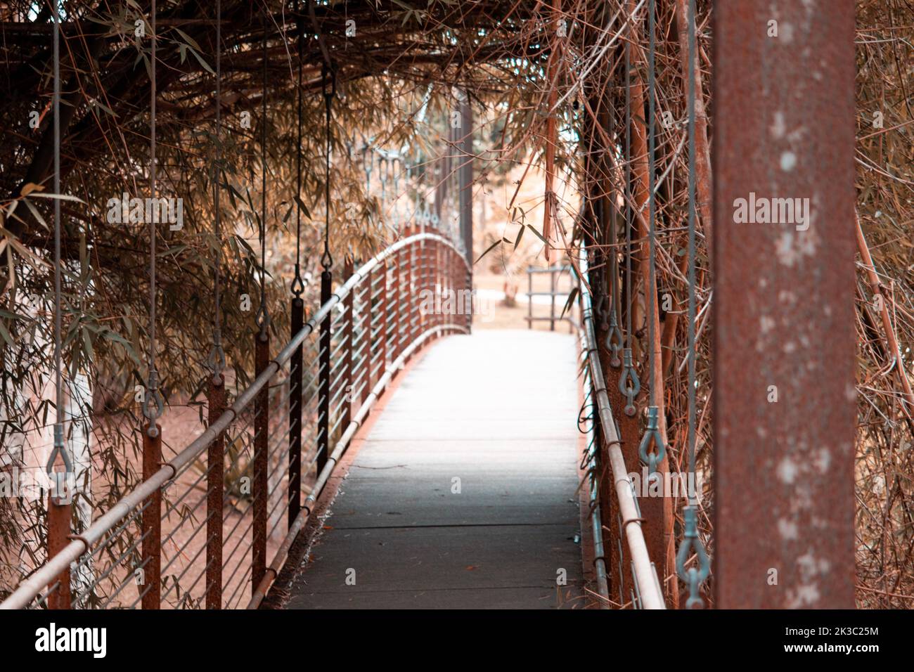 A metal bridge covered with plants Stock Photo - Alamy