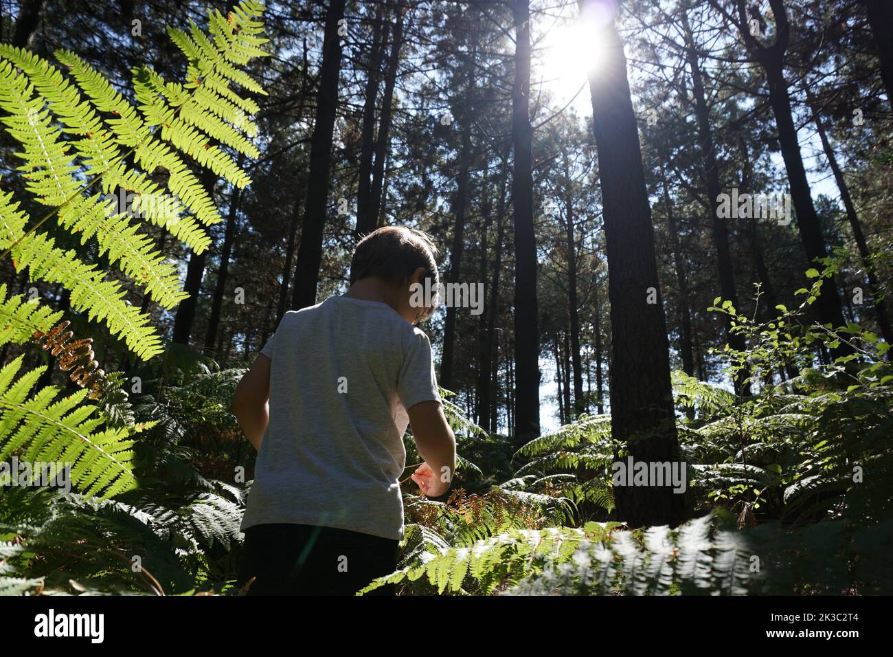 Explore exploring discovery hi-res stock photography and images - Alamy