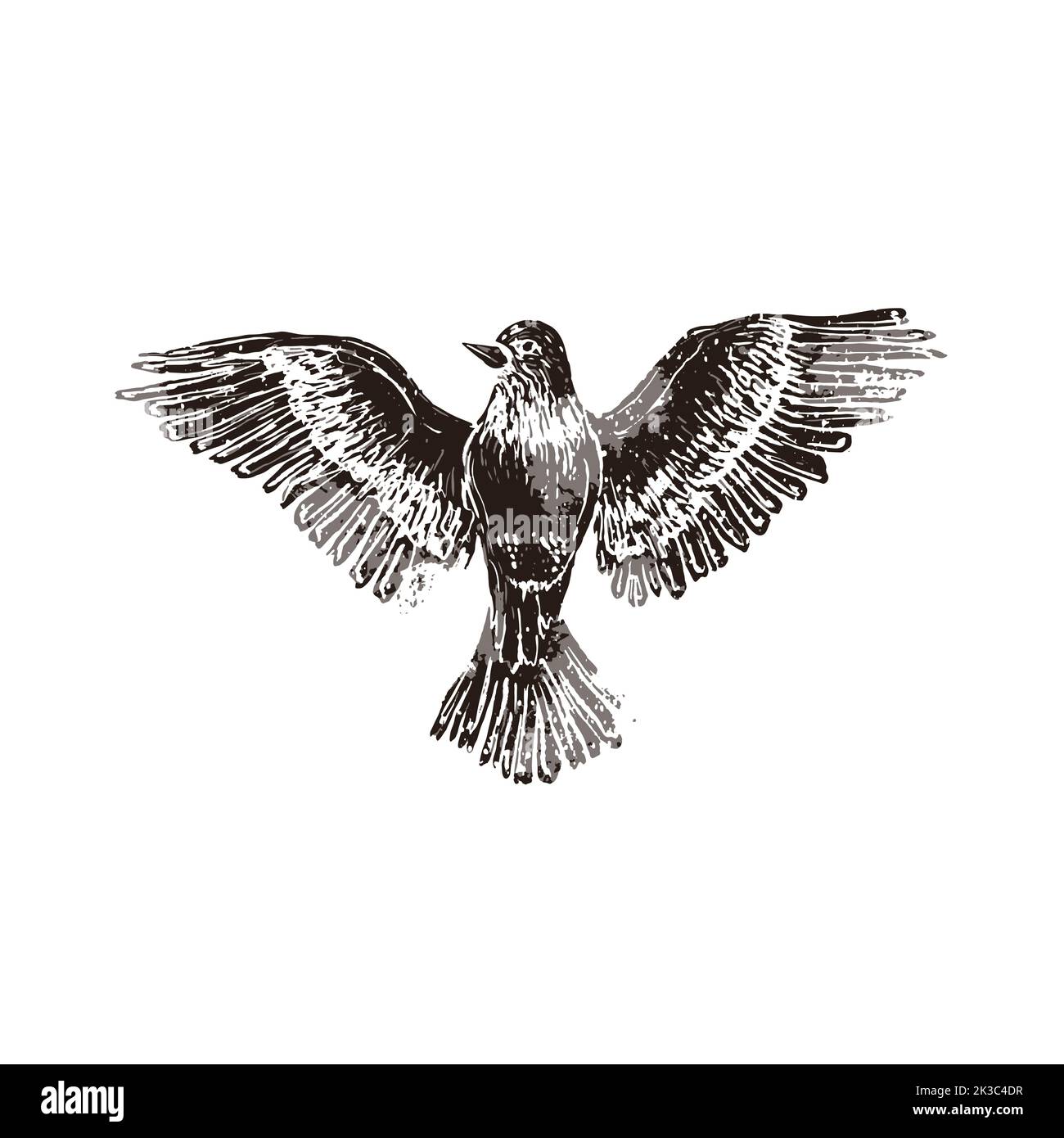 Flying proud bird in linocut retro style, vintage silhouette of bird on ...