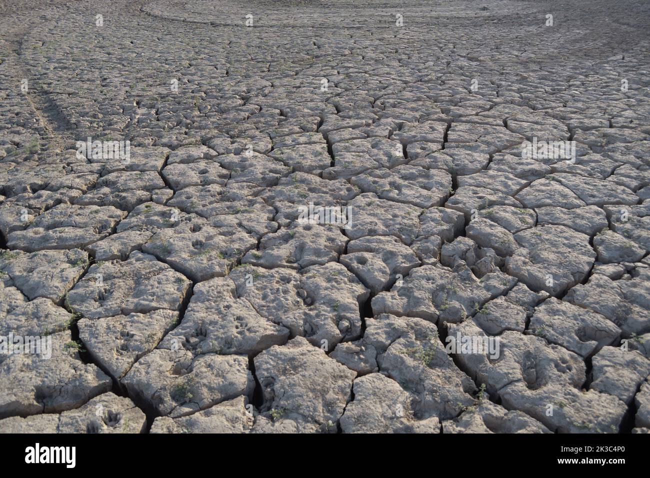 Cracked shore by drought of a lake without water Stock Photo - Alamy