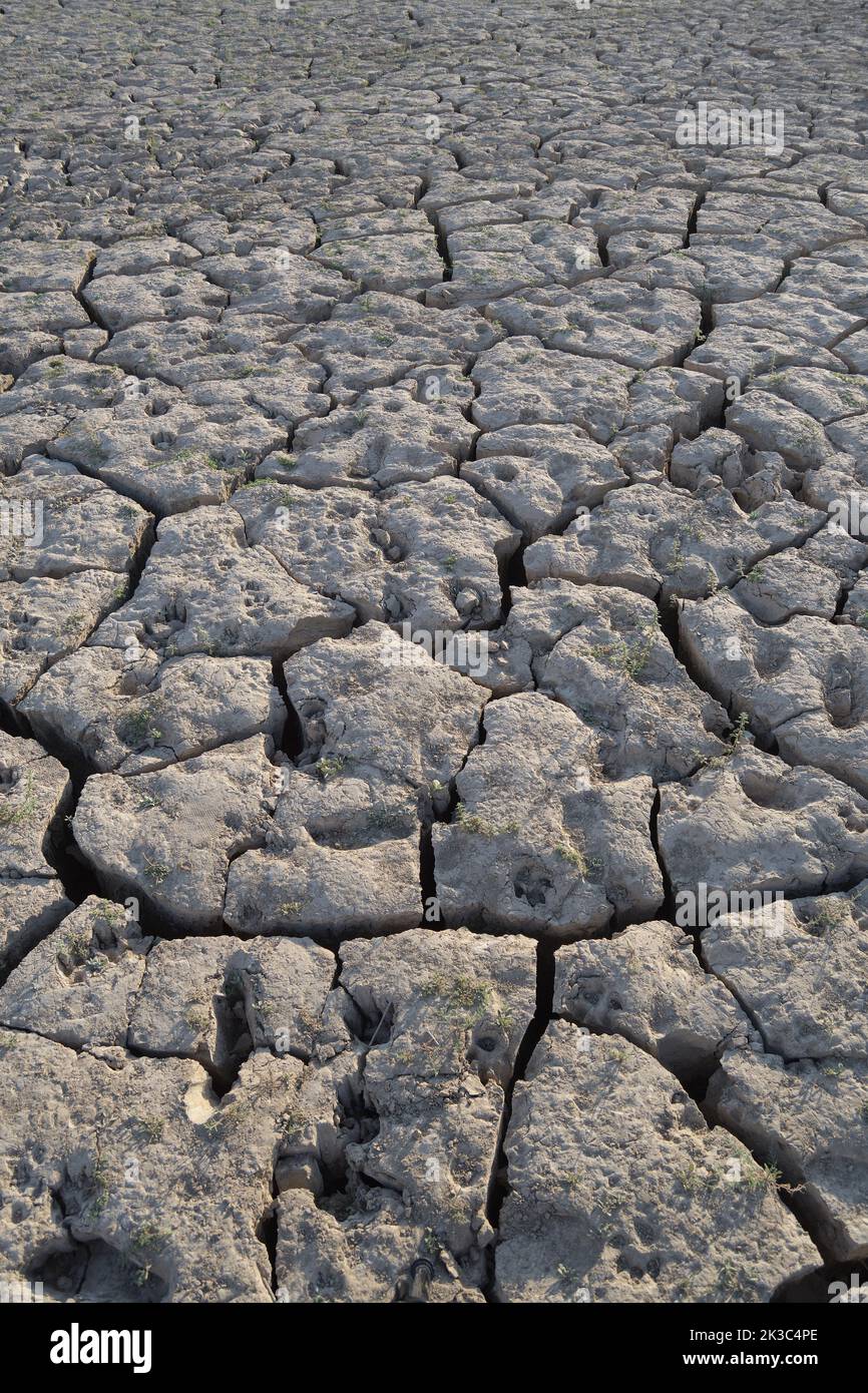 Cracked dry land by drought in the bottom of a lake at sunset Stock ...