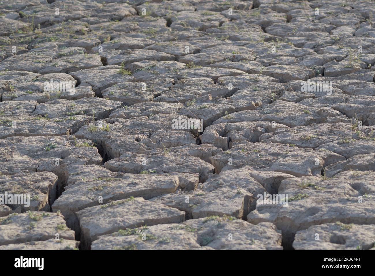 Cracked dry land by drought Stock Photo - Alamy