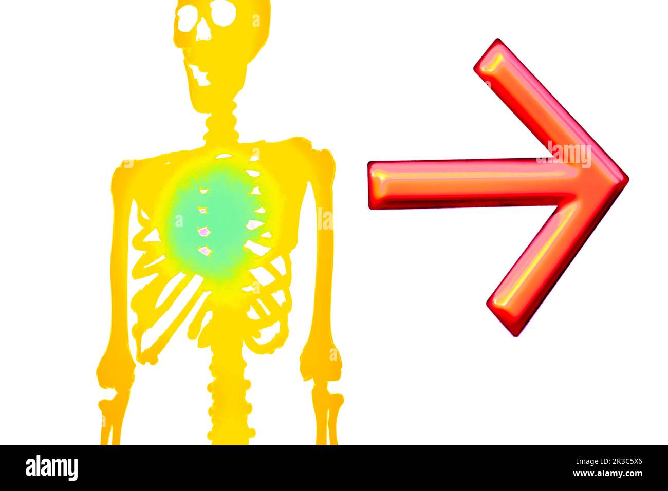 Halloween yellow funny skeleton with an arrow the direction on a white ...