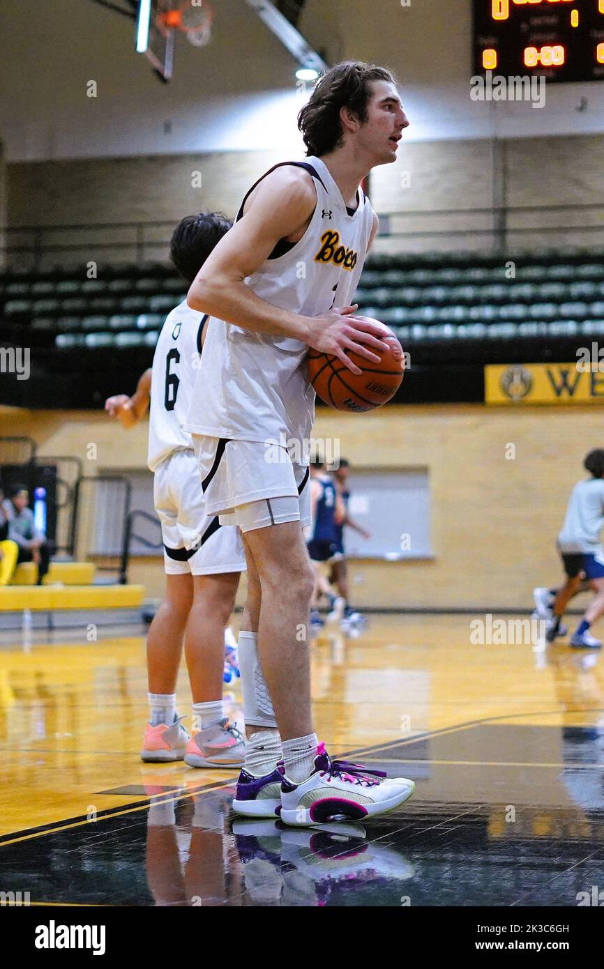 A vertical of an athletic basketball player holding the ball captured ...