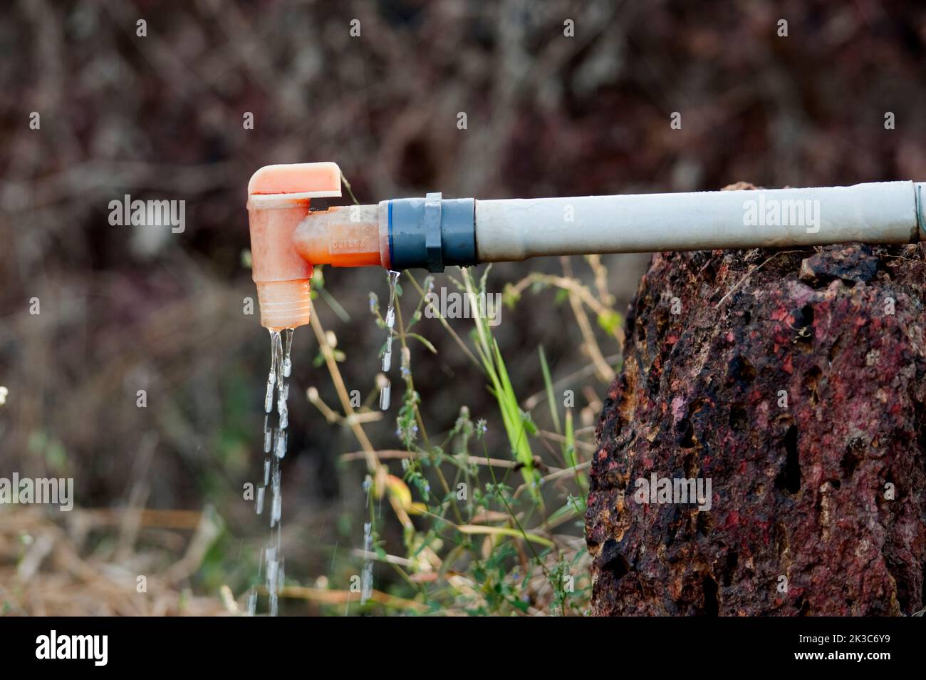 Plastic tap leaking water in afield at Lanja state Maharashtra India ...