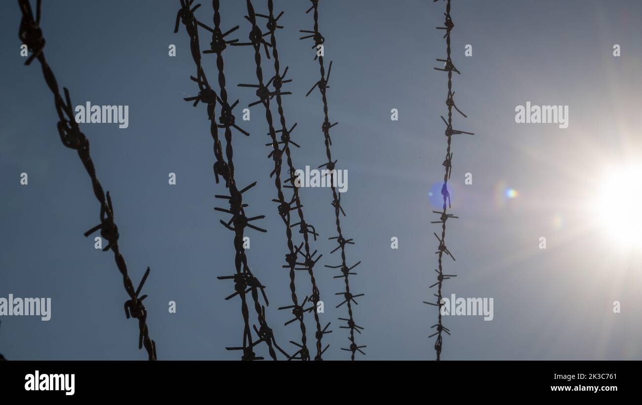 Barbed wire with blue sky and sun in the background, freedom and hope ...
