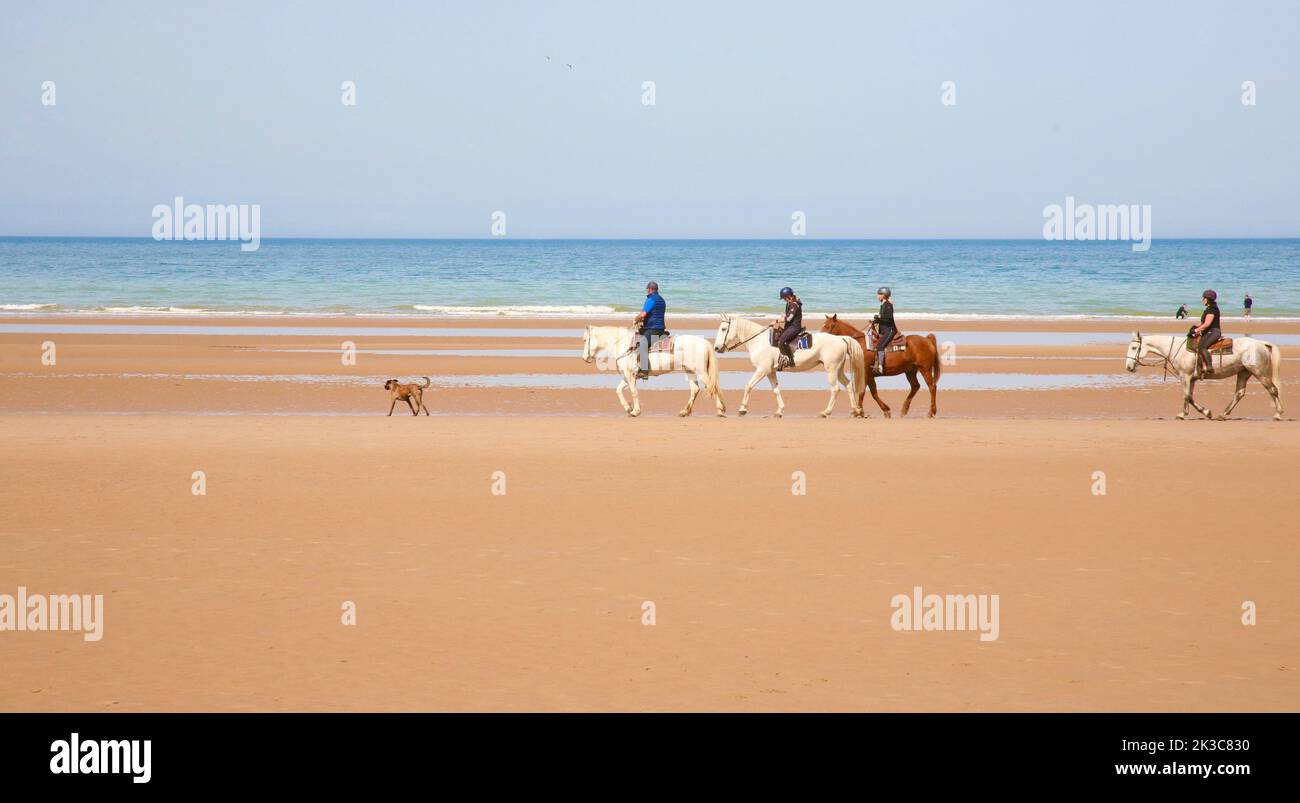 Horse riding on the shoreline, Omaha beach, Normandy, France, Europe ...