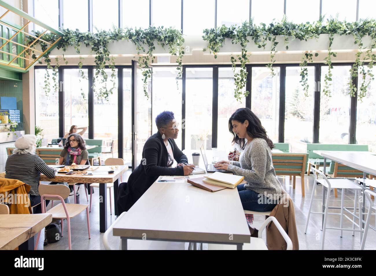 Two women talking in cafe side view hi-res stock photography and images ...