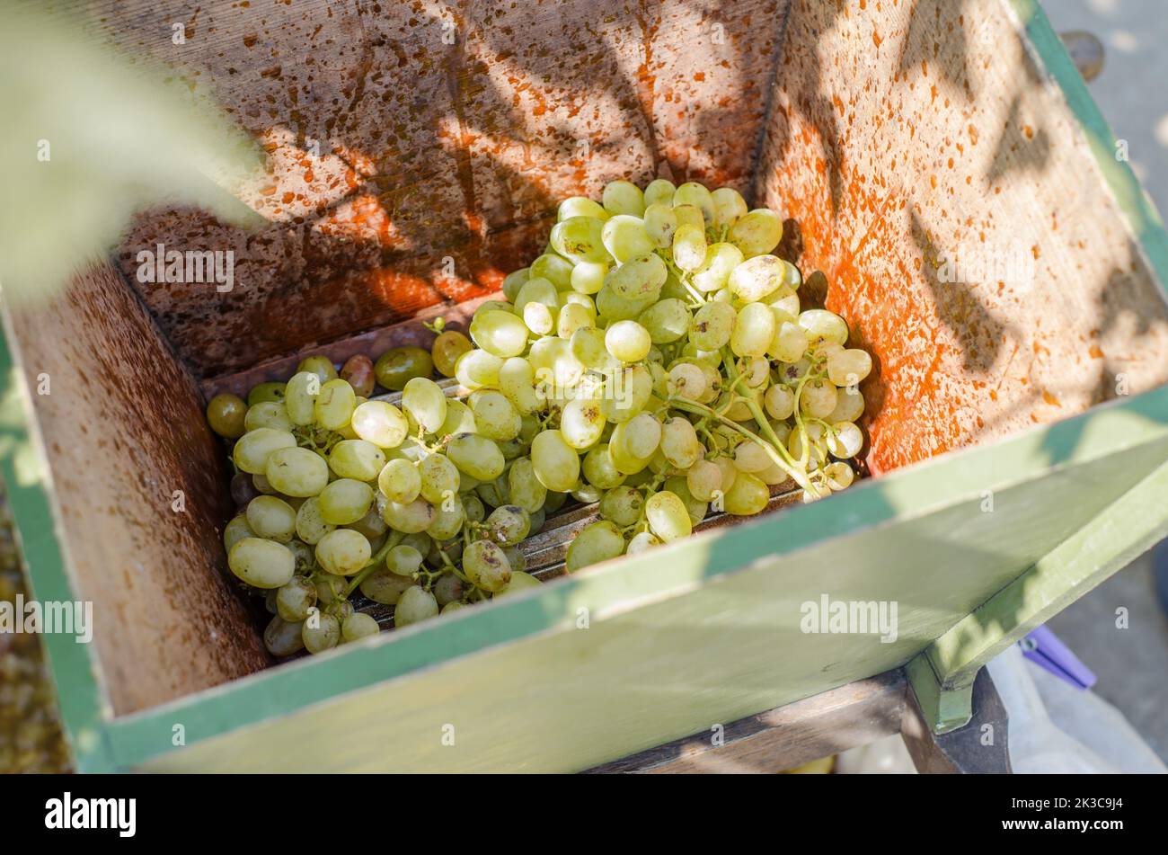 Winemaking process hi-res stock photography and images - Alamy