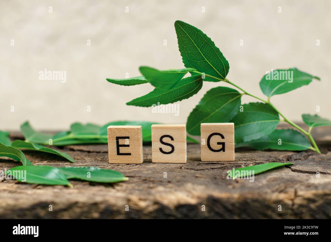 ESG abbreviation on wooden cubes, on a wooden board framed with green ...