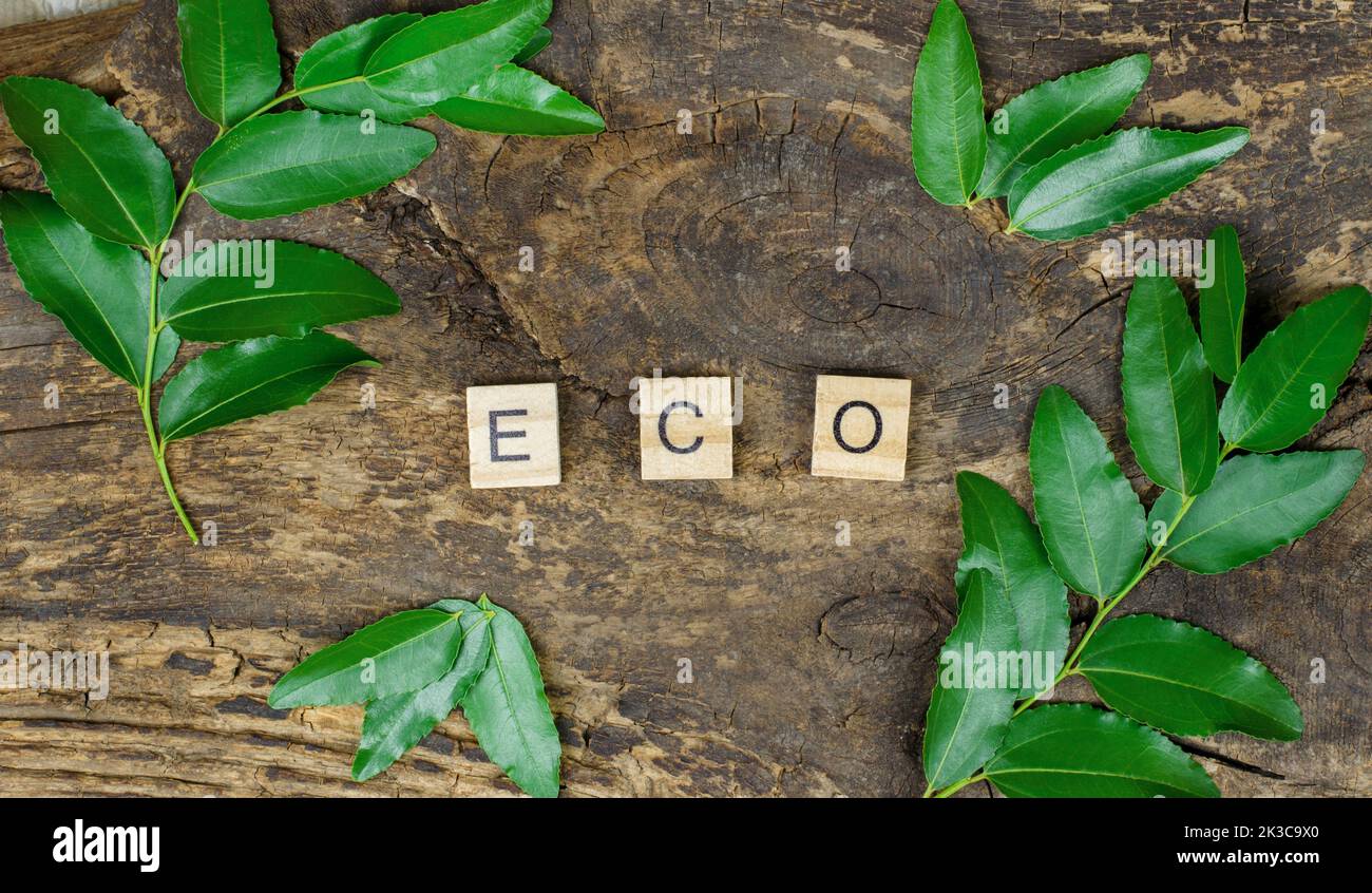 ESG abbreviation on wooden cubes against the background of green leaves ...