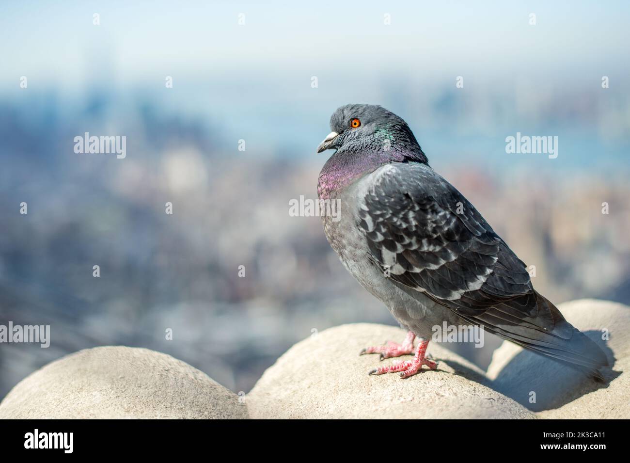 86th floor observation deck at Empire State Building at Manhattan in ...