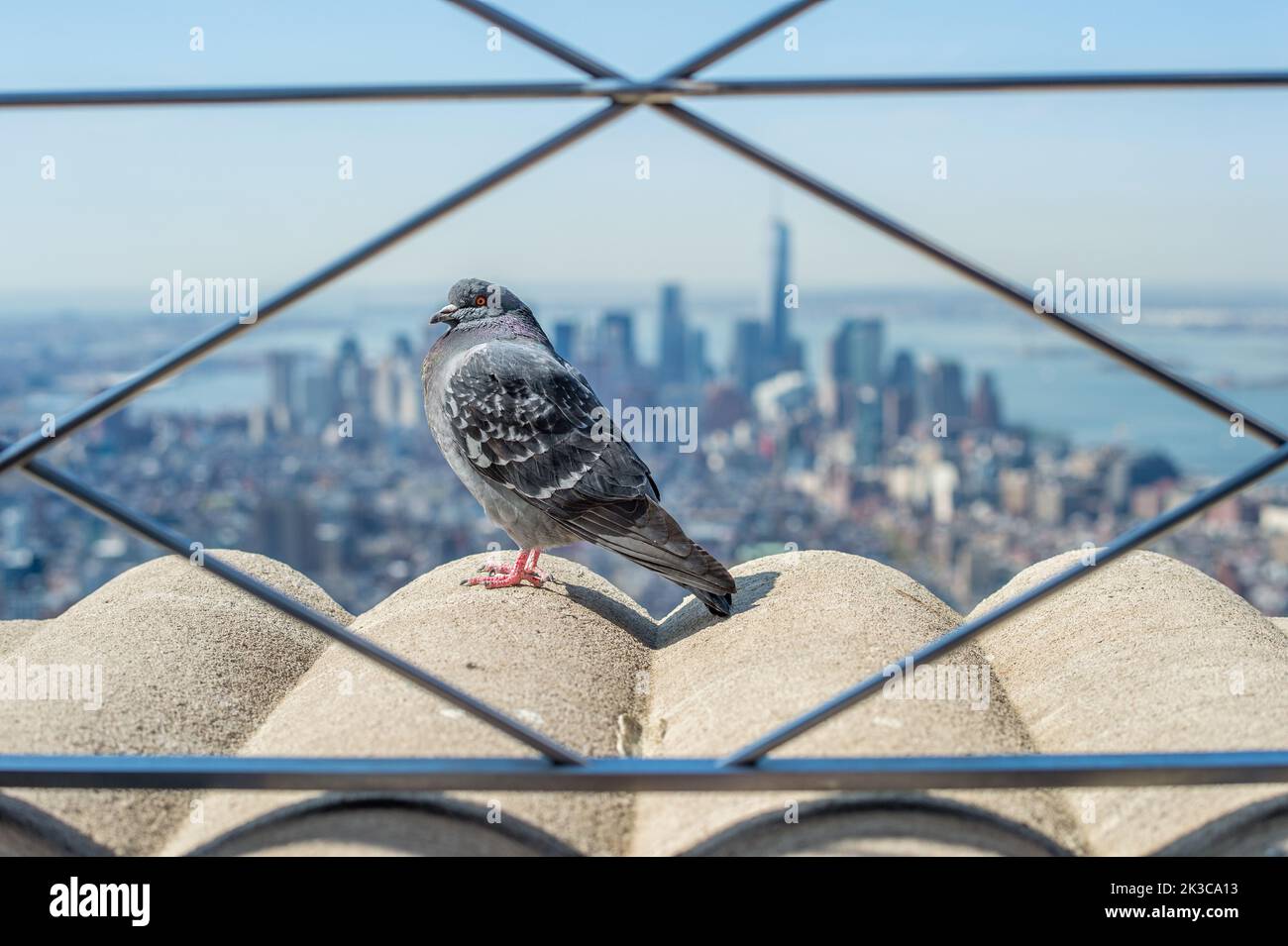 86th floor observation deck at Empire State Building at Manhattan in ...