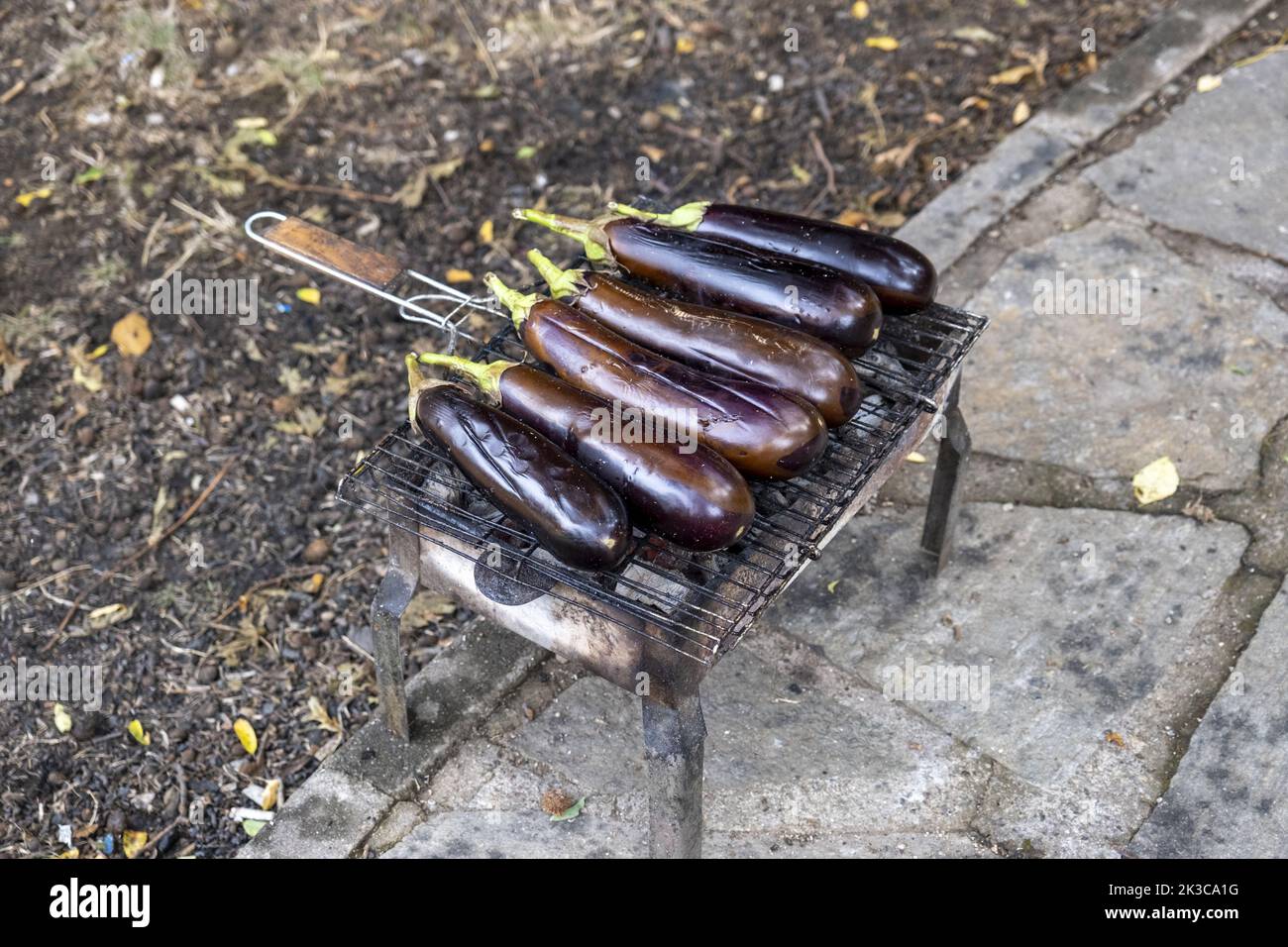 Turkish barbecue with roasted eggplant, top view, leisure activity ...