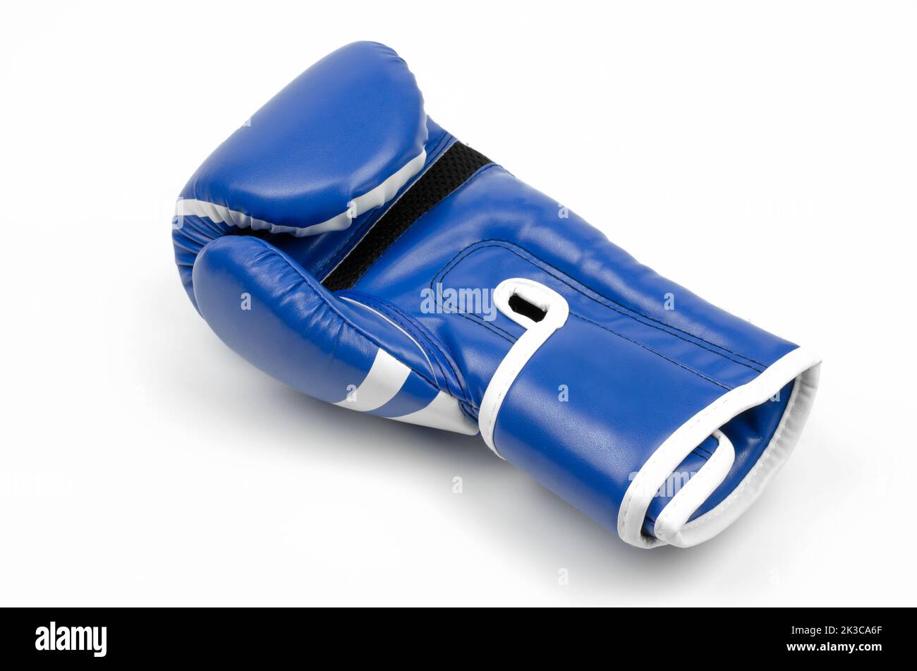 Boxing champions Cut Out Stock Images & Pictures - Alamy