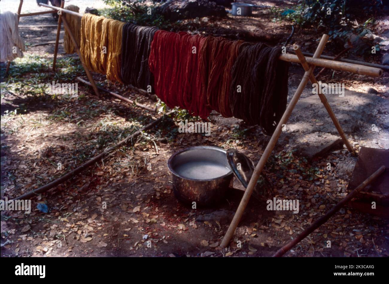 Sericulture is the process of cultivating silkworms and extracting silk ...