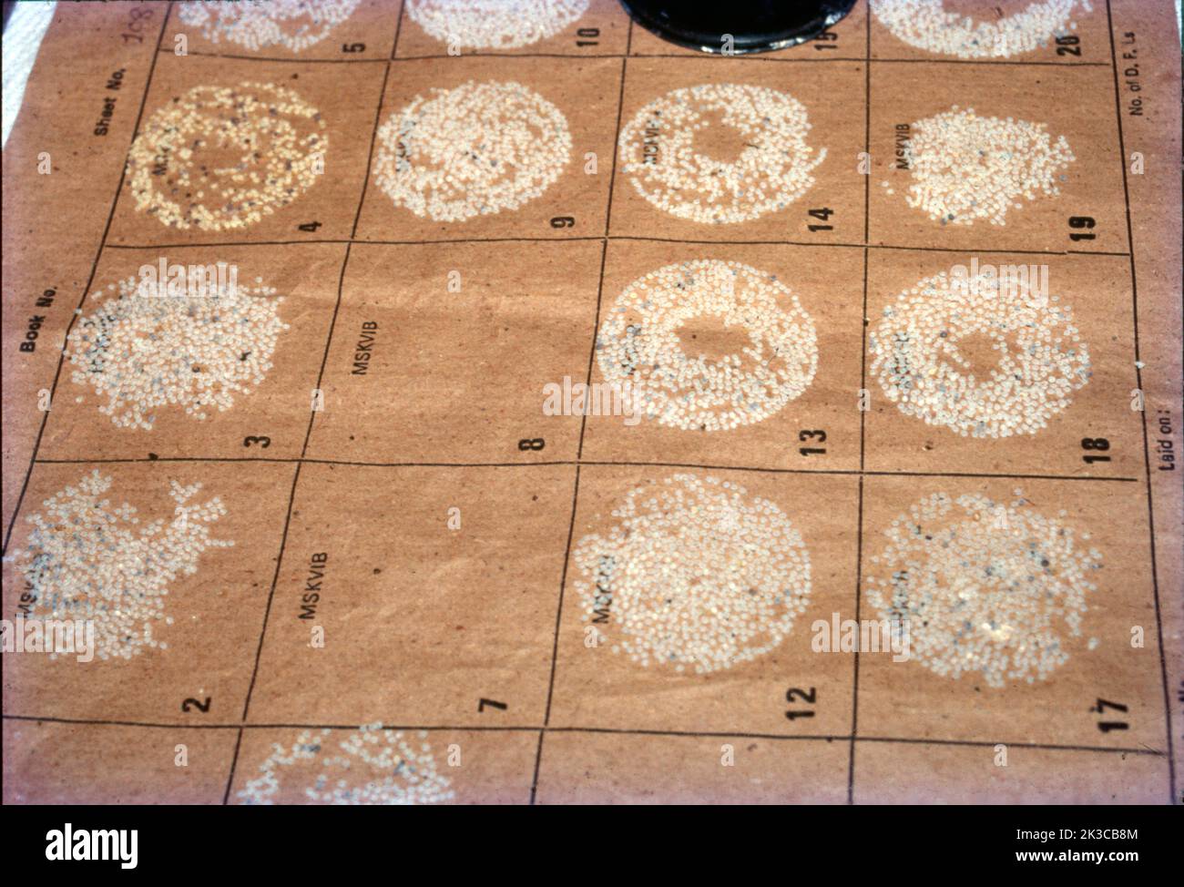 Sericulture is the process of cultivating silkworms and extracting silk ...