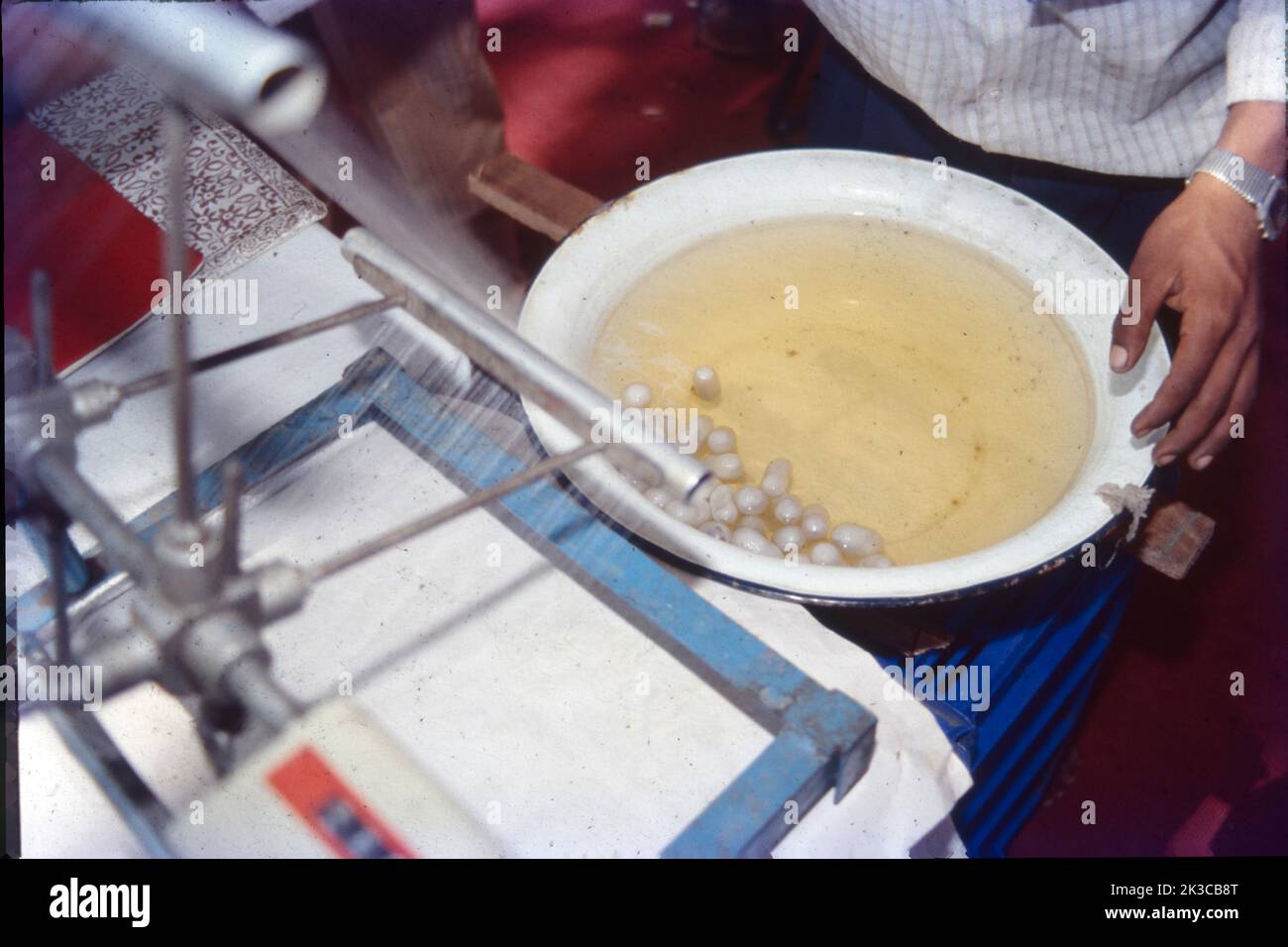 Sericulture is the process of cultivating silkworms and extracting silk ...