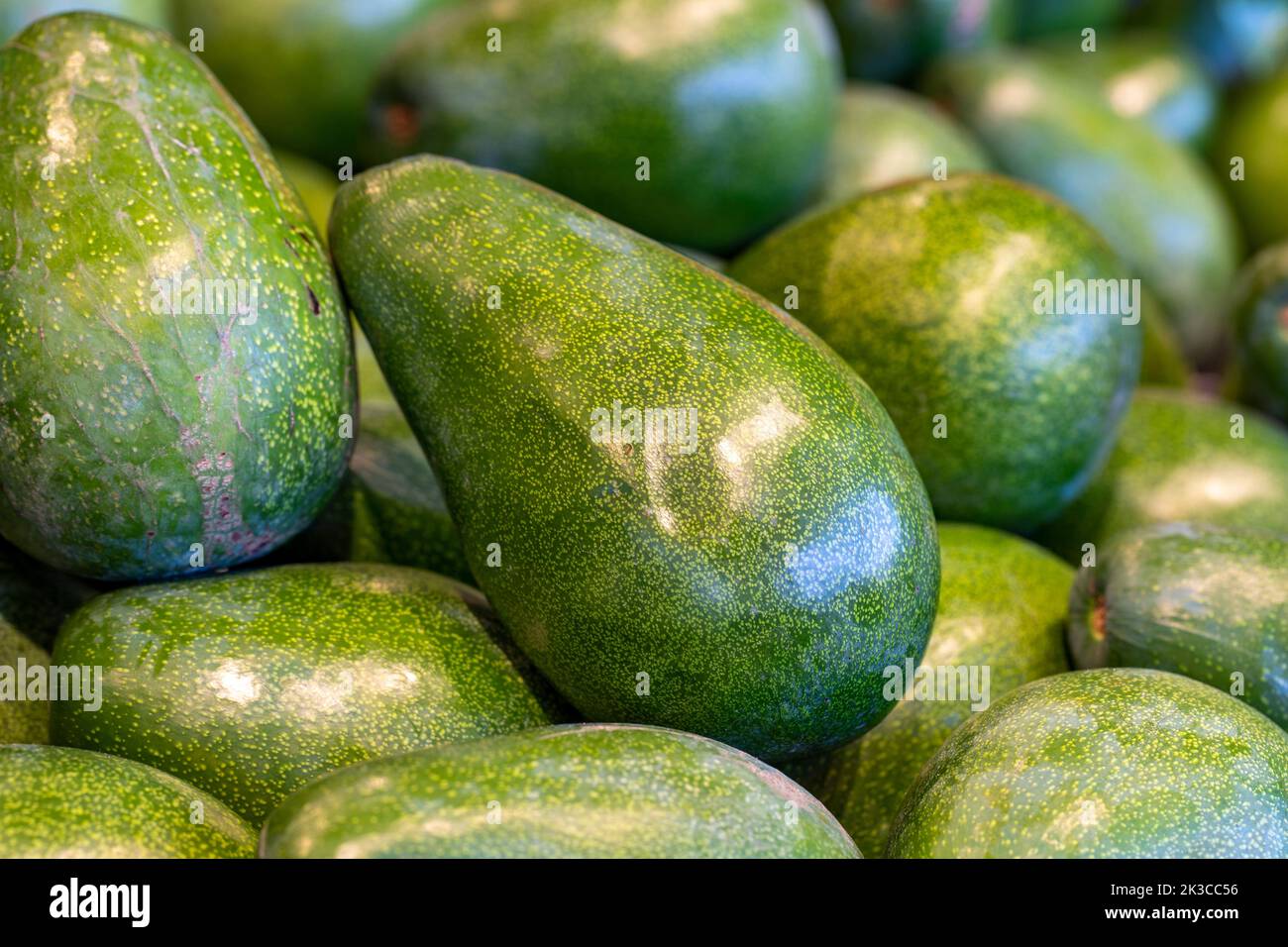 Ripe avocado on the market counter. Exotic fruit. pile of avocado Stock ...