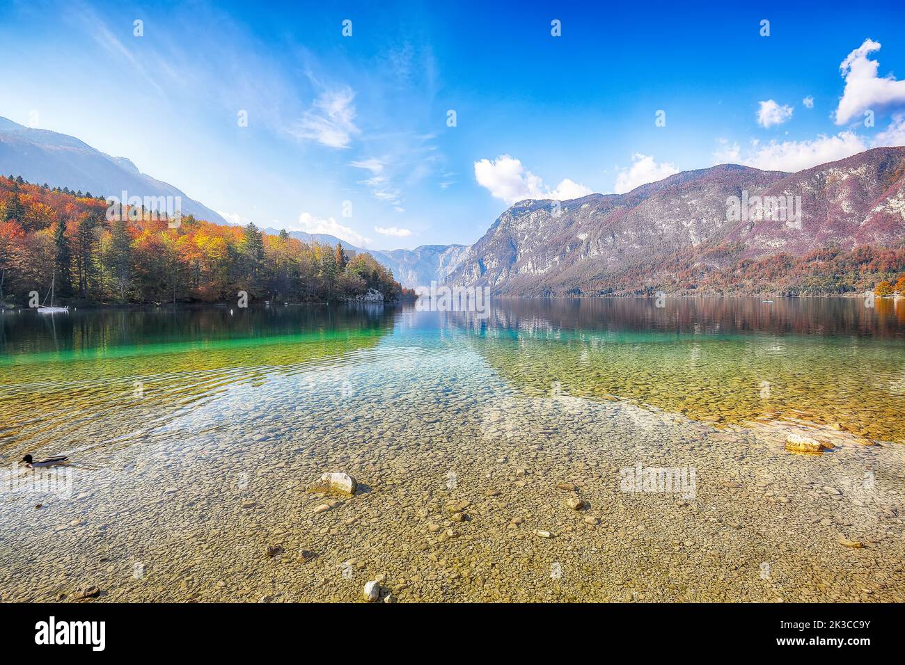 Fabulous view of Bohinj Lake with boats during autumn . Popular tourist ...