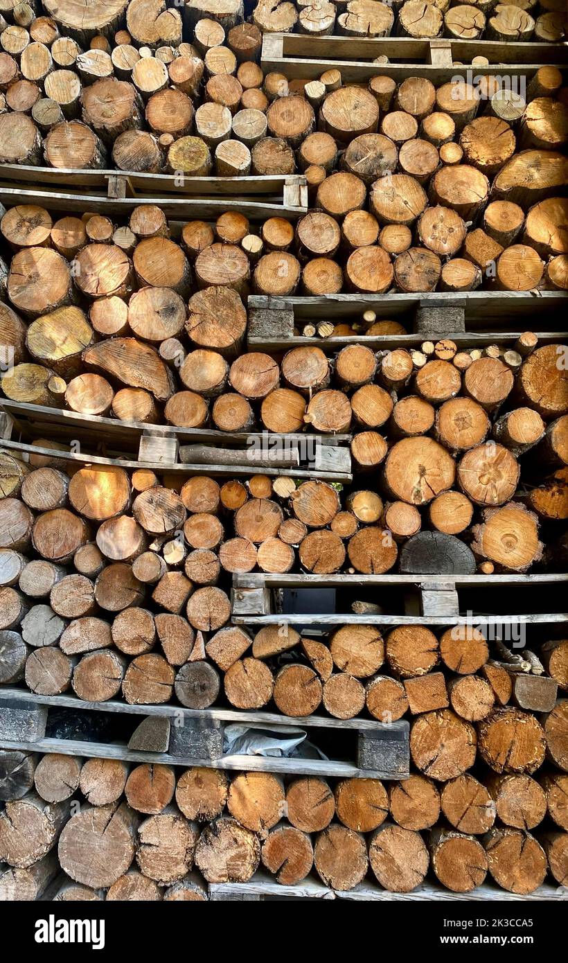 A vertical shot of the stacks of logs Stock Photo - Alamy
