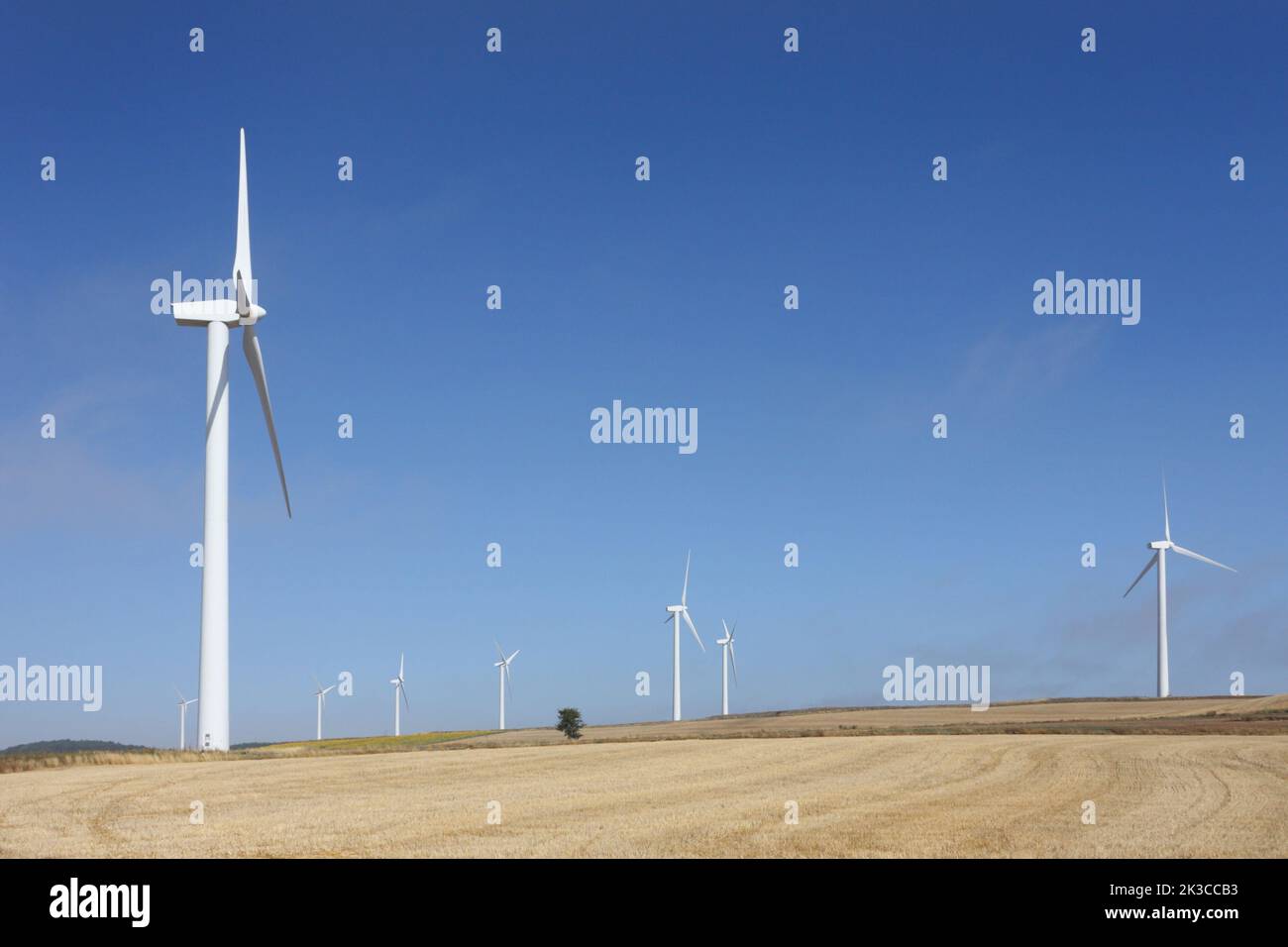 The wind turbines on a yellow field against a blue sky background Stock ...