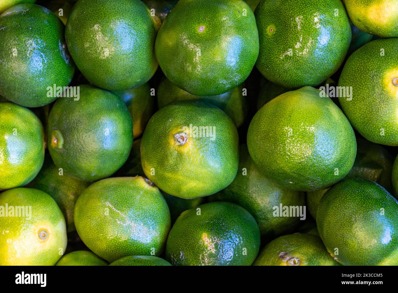 Pile fresh juicy tangerines hi-res stock photography and images - Alamy