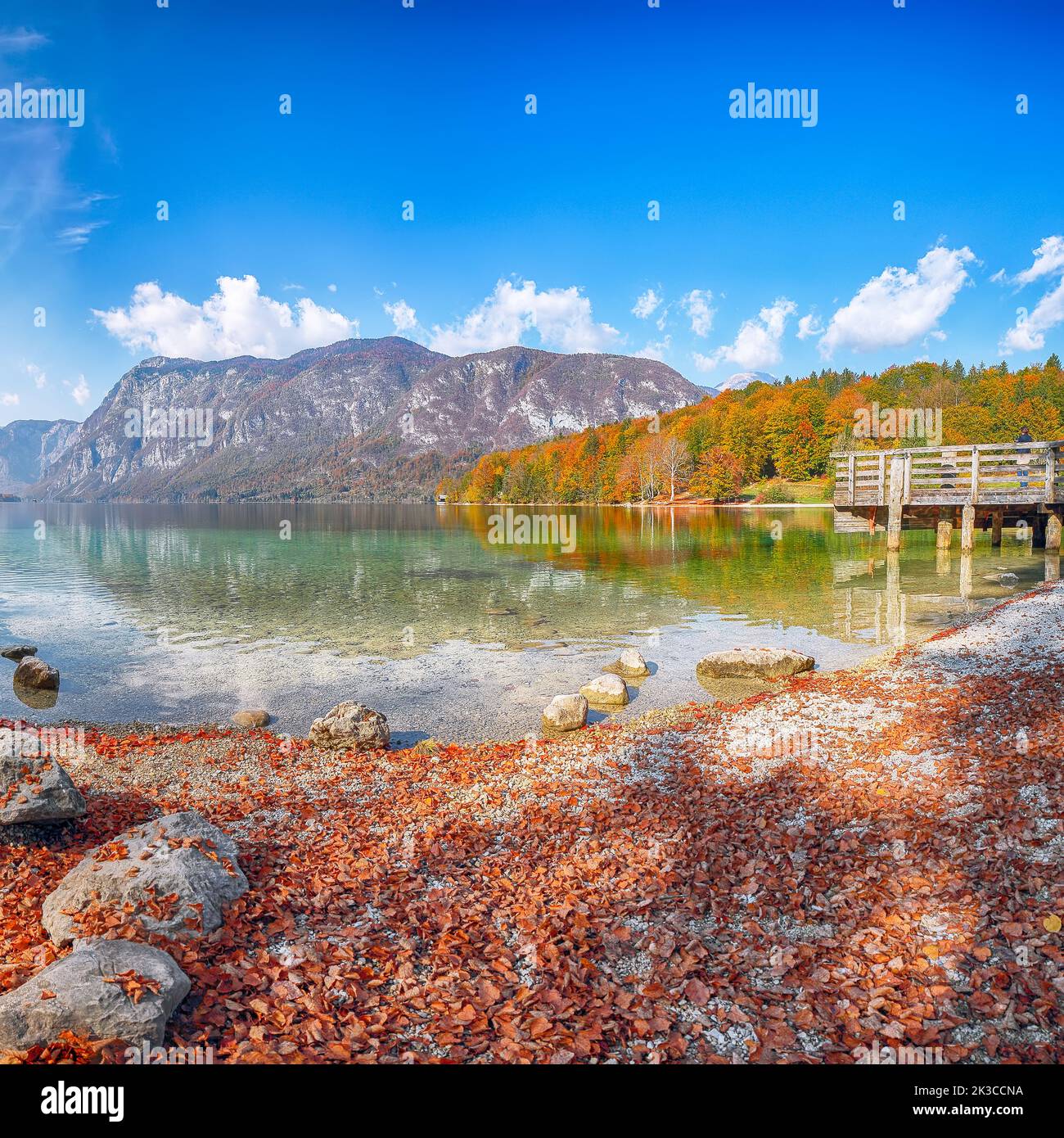 Fabulous view of Bohinj Lake at autumn time . Popular tourist ...