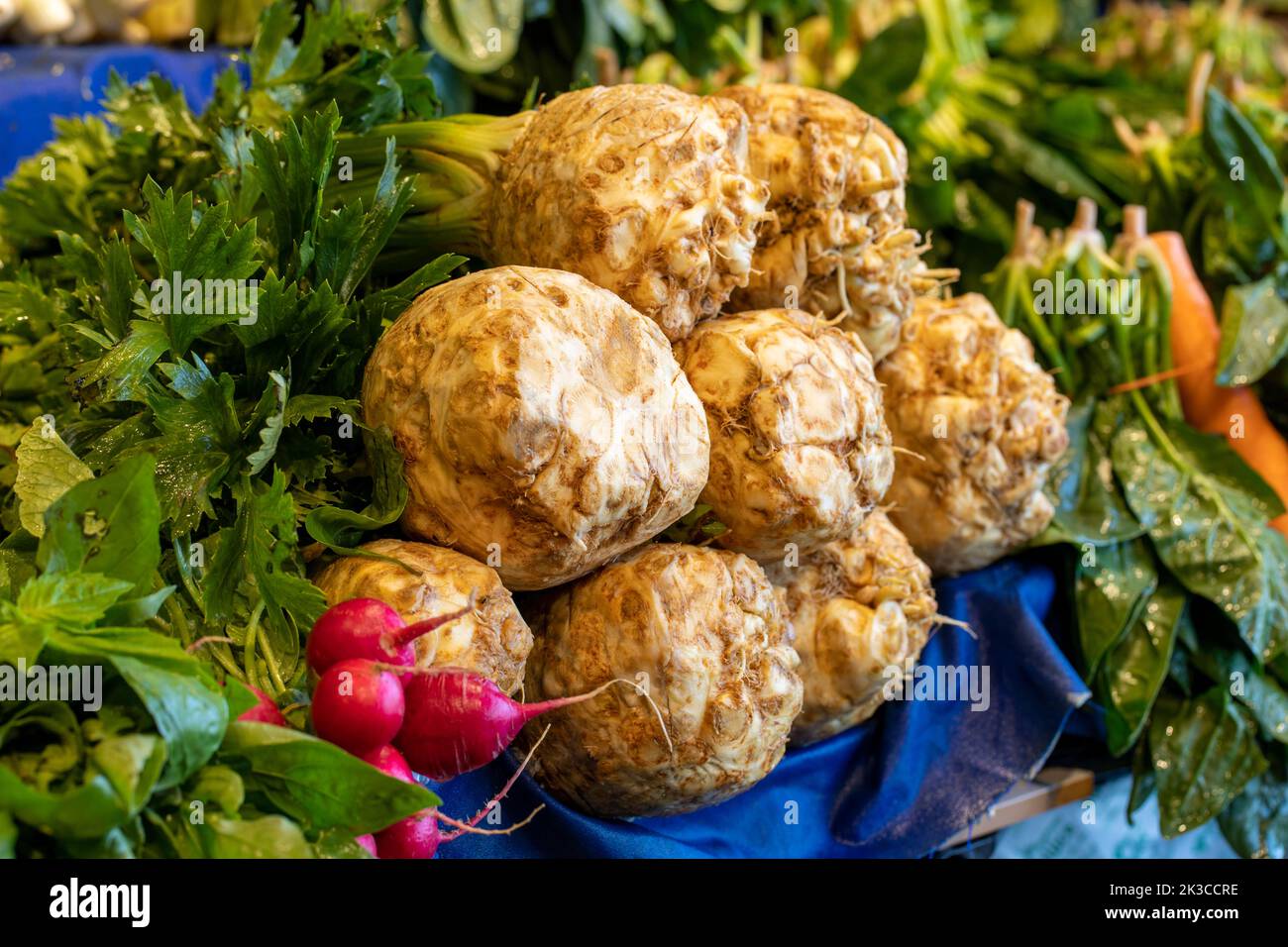 Vegetable market counter. Fresh a variety of vegetable lie on the ...