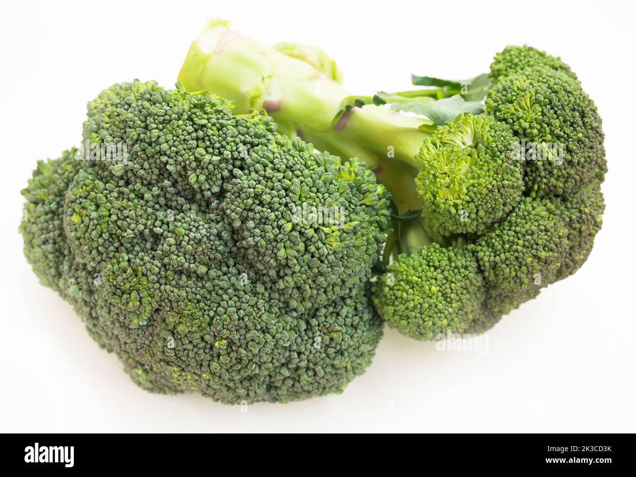 fresh broccoli and florets on white background Stock Photo - Alamy