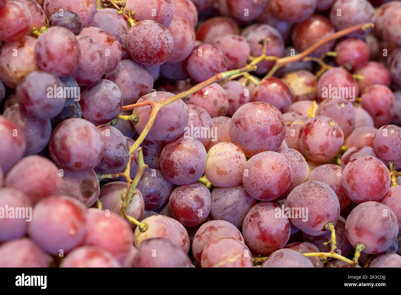 Bunch of grapes on the market counter. Pile of ripe grapes Stock Photo ...