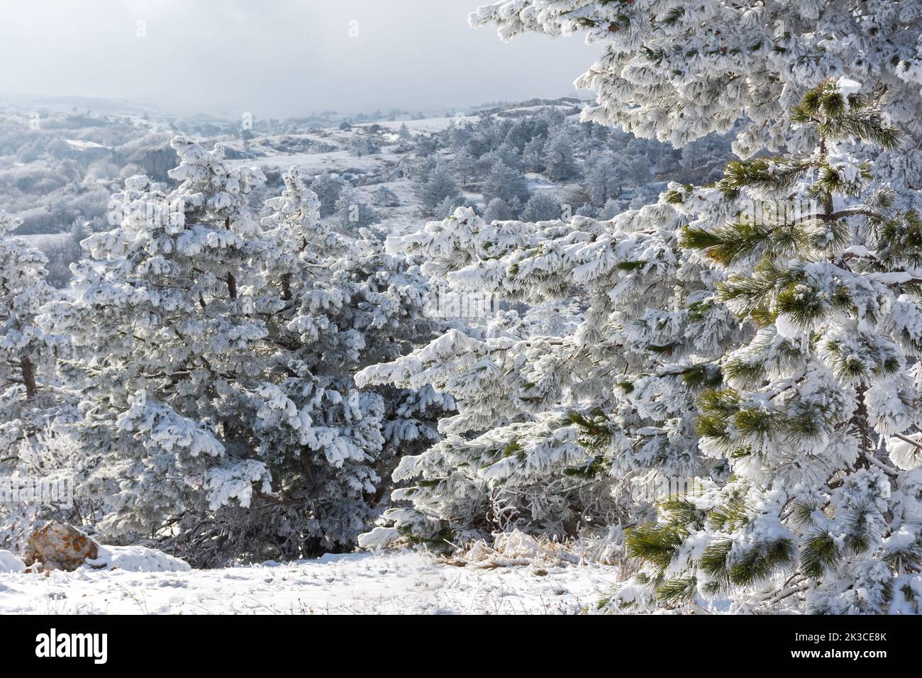 High-voltage poles winter. Electricity for cities. Electric pylons ...