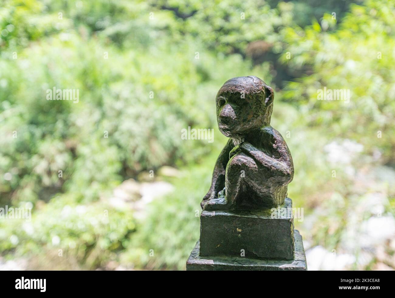 Monkey spirits hi-res stock photography and images - Alamy