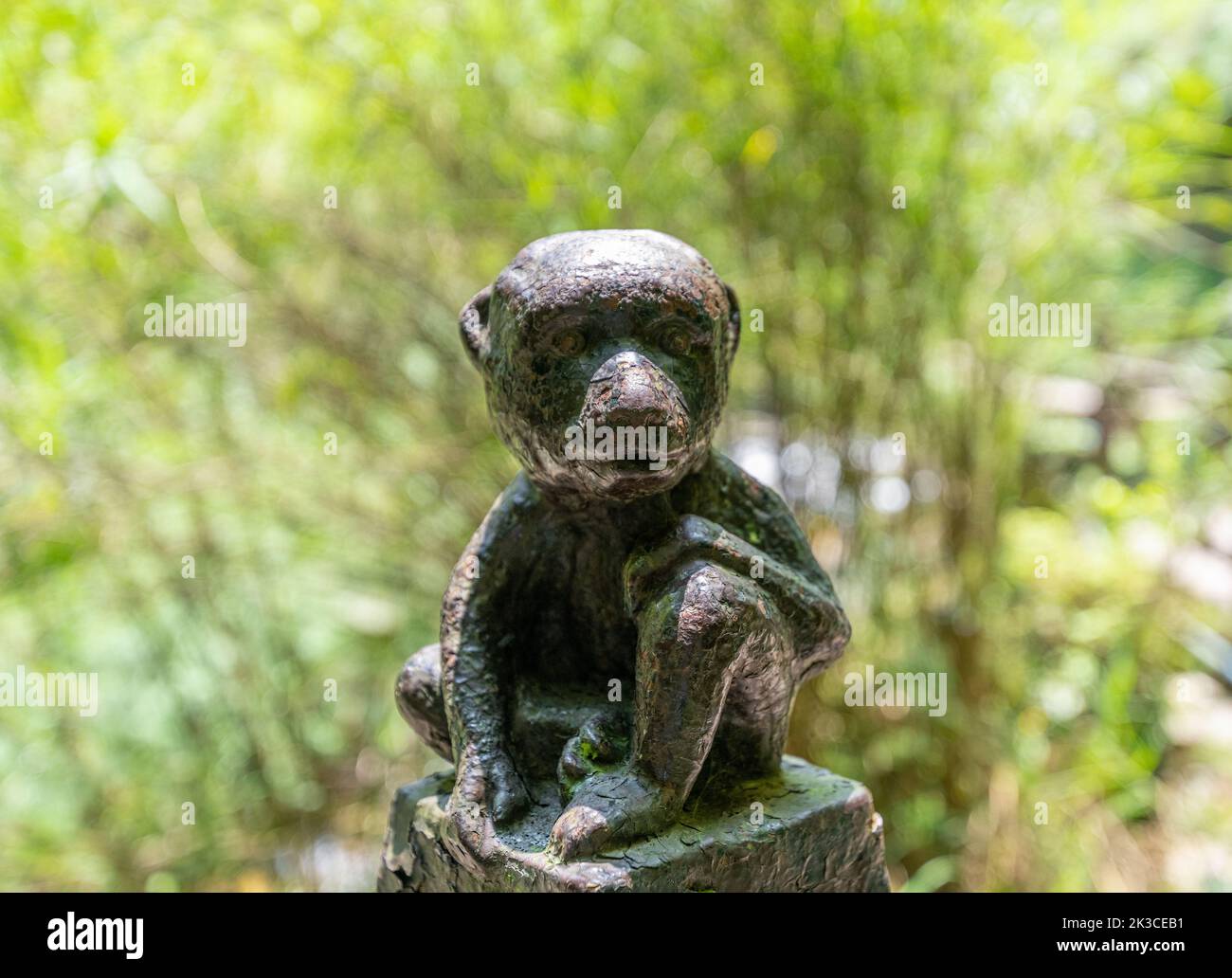 Monkey spirits hi-res stock photography and images - Alamy